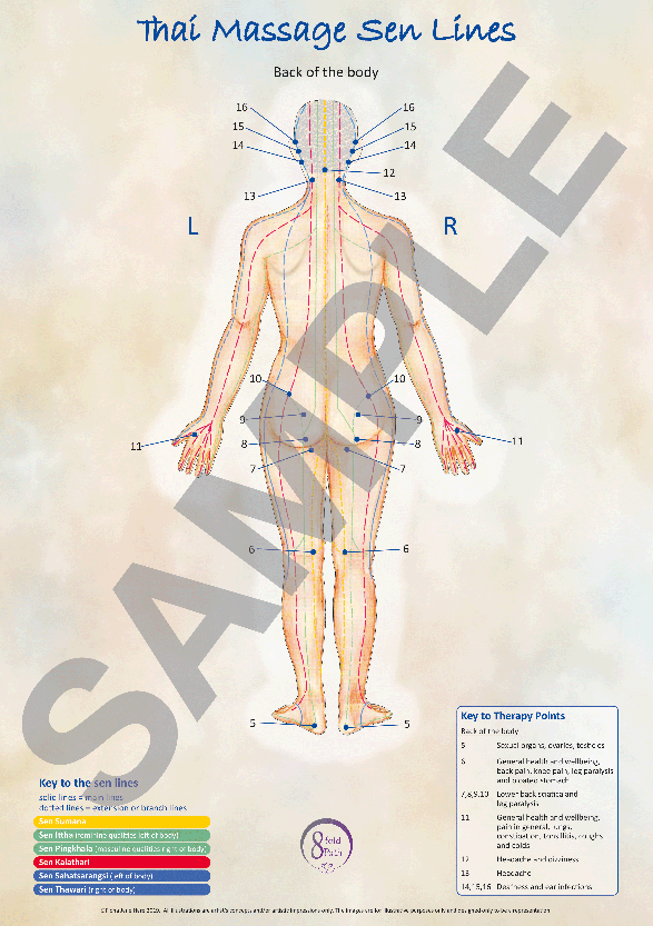 Thai Massage Sen Line Posters With Therapy Points